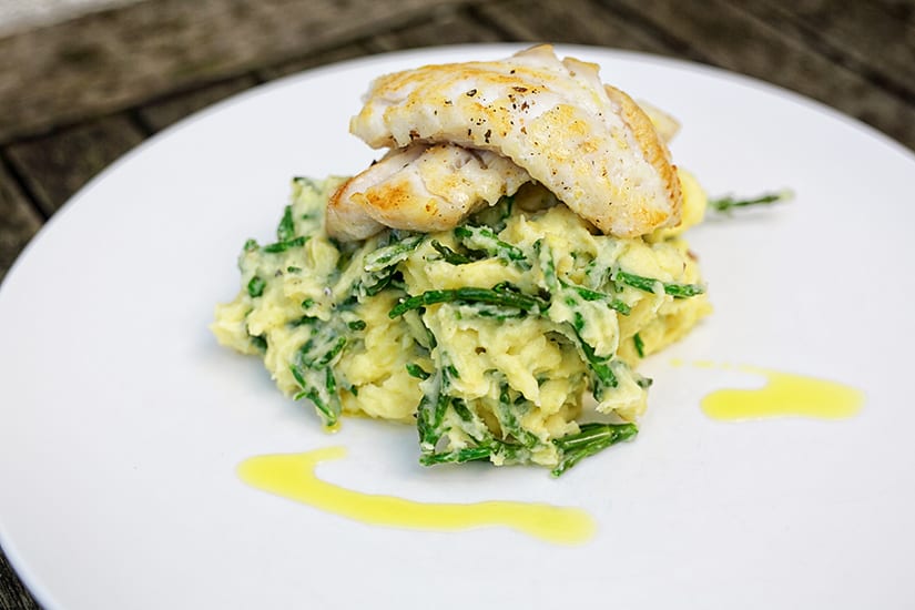 Gebakken roodbaars met zeekraalpuree | Visrecept