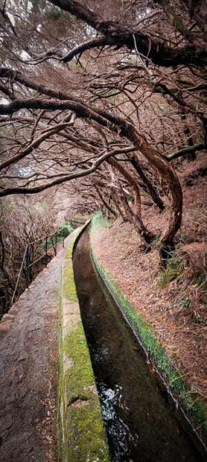 Madeira: 7 bezienswaardigheden voor een prachtvakantie